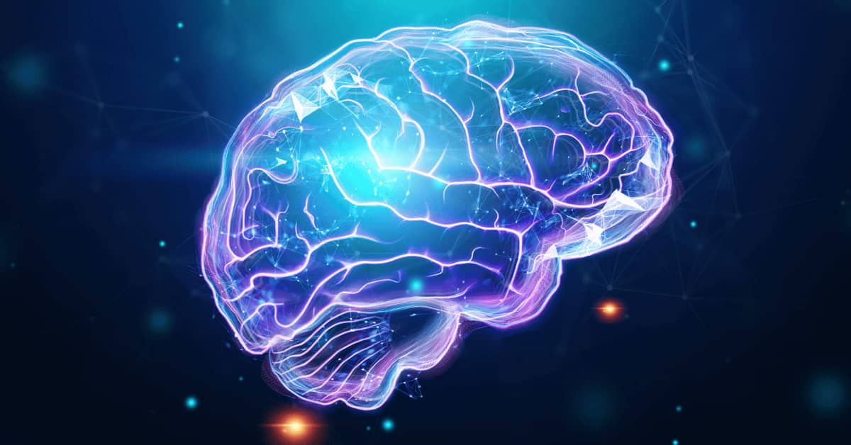 The Serotonin-Social Anxiety Link: What You Need to Know